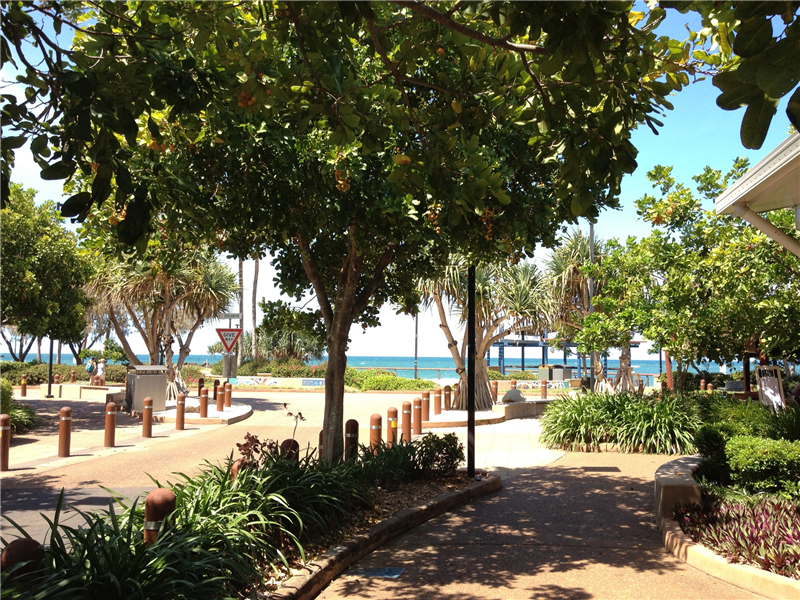 Bundaberg Caravan Park | Mon Repos Turtle Conservation Park